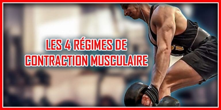 Les 4 Types de Contraction Musculaire pour l'Entraînement